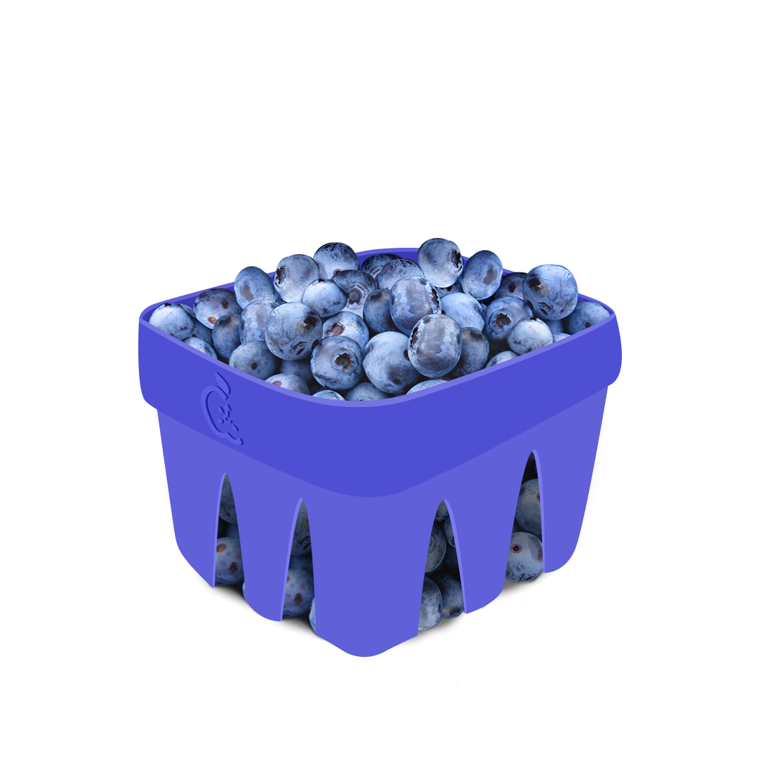 Blueberry – Arkaios Fresh