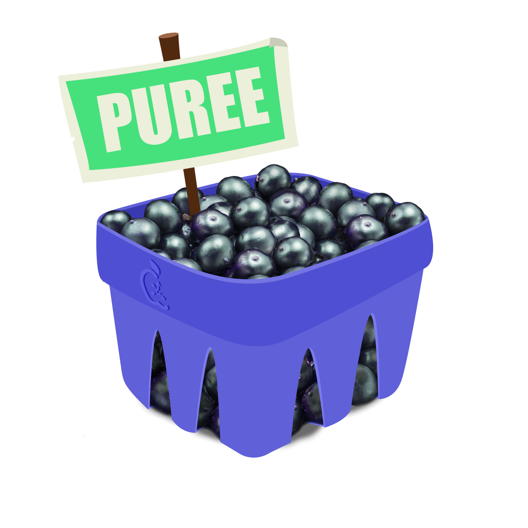 Black Currant Puree – Arkaios Fresh