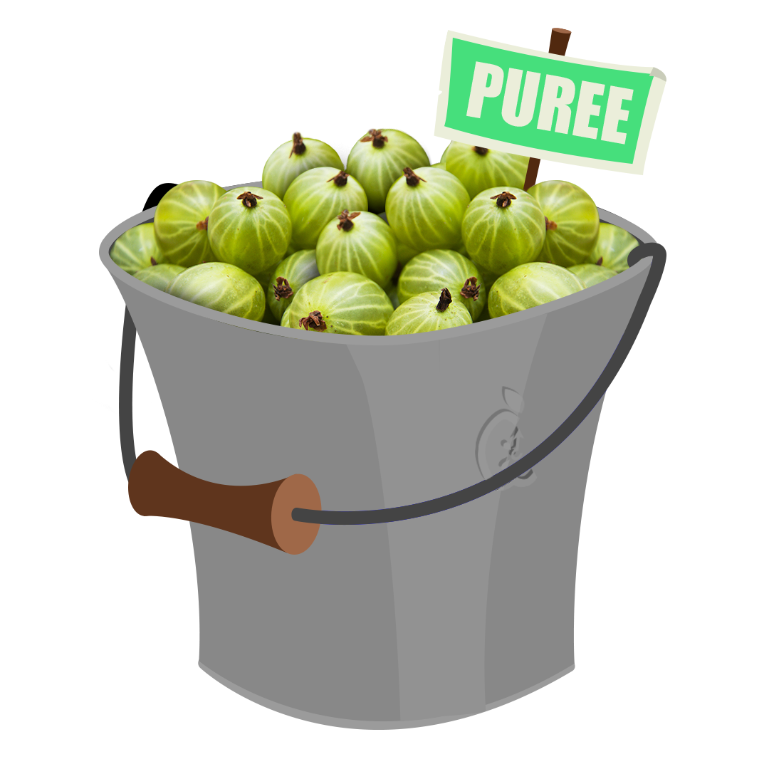 Gooseberry Puree – Arkaios Fresh