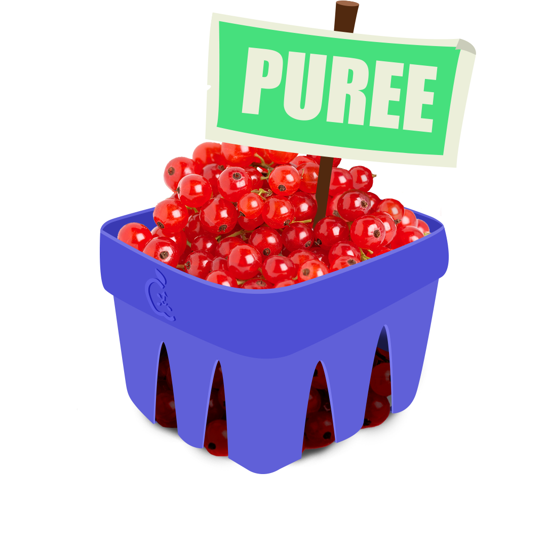 Red Currant Puree – Arkaios Fresh