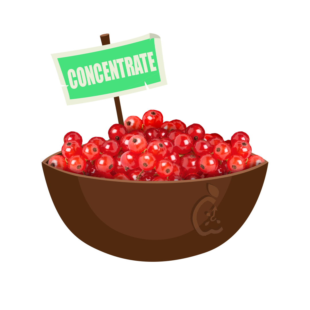 Rowanberry Concentrate – Arkaios Fresh