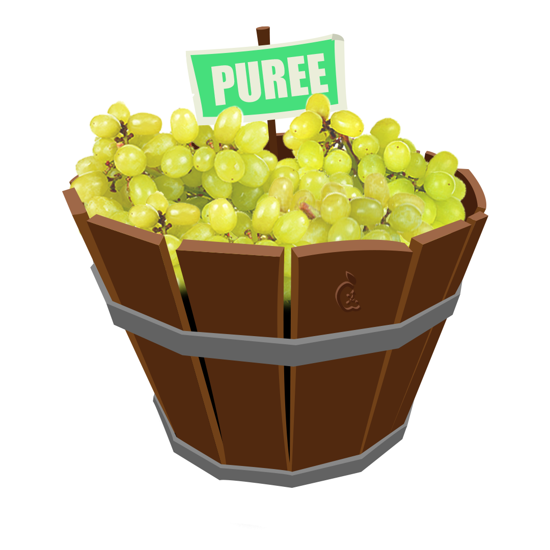 White Grape Puree – Arkaios Fresh