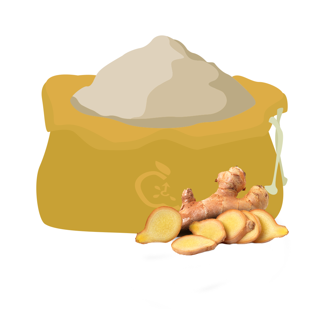 Ginger Powder – Arkaios Fresh